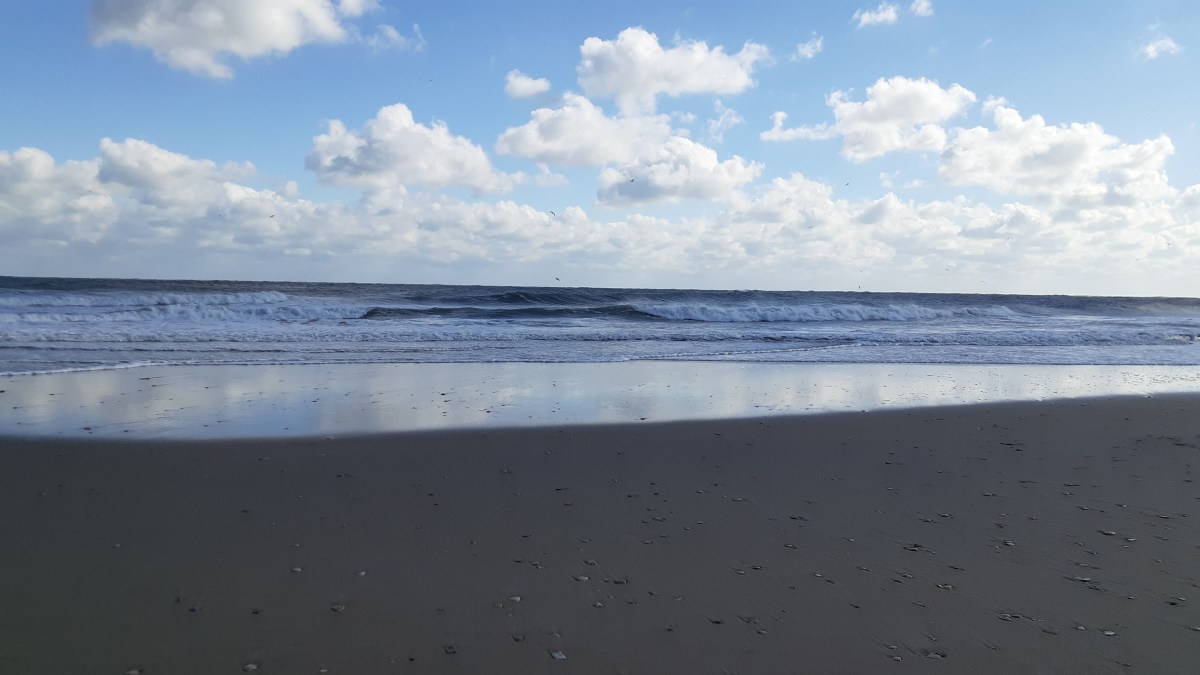 Fun Spring Break Destinations in the U.S. – Bodacious Broads Travel Blog